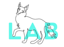 Graywolf Lab | Online Magazine | firstwriter.com